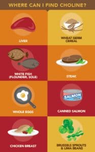 Choline - Sources, Functions & Why It's Necessary for TTC